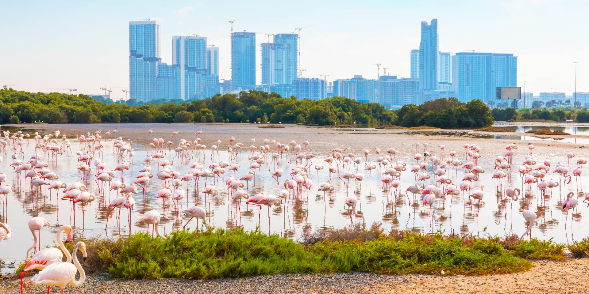 Explore Al Khor Park: Attractions, Tickets & Family Fun Guide